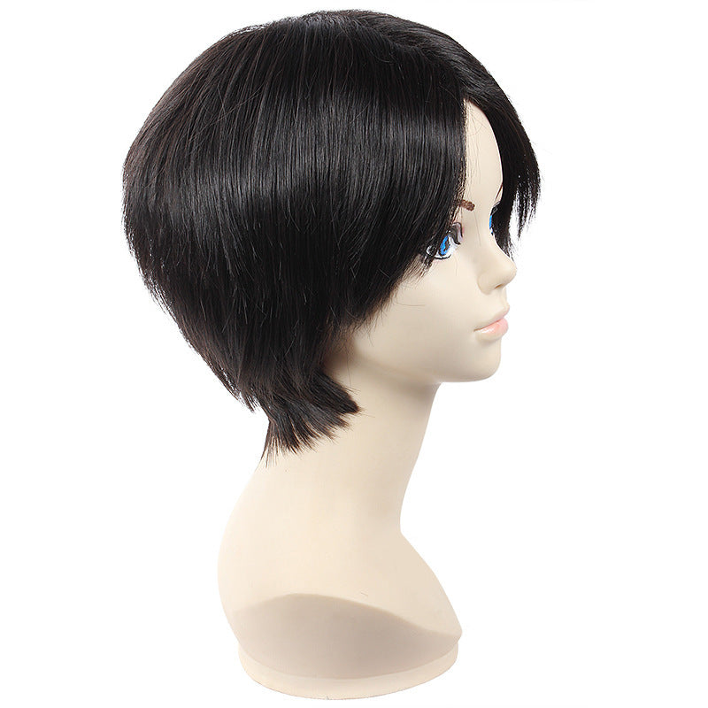 Attack On Titan Shingeki no Kyojin Levi Ackerman Cosplay Wigs ...